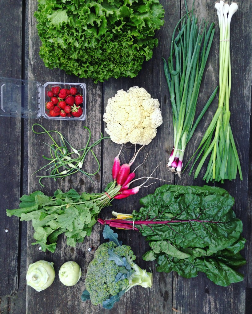Cabbage Love + RECIPE: Cabbage & Snow Pea Rice Bowl with Warm Coconut ...